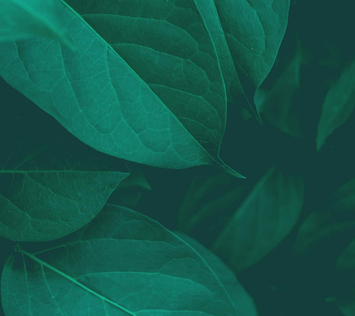 Nexira - Innovation Inspired by Nature