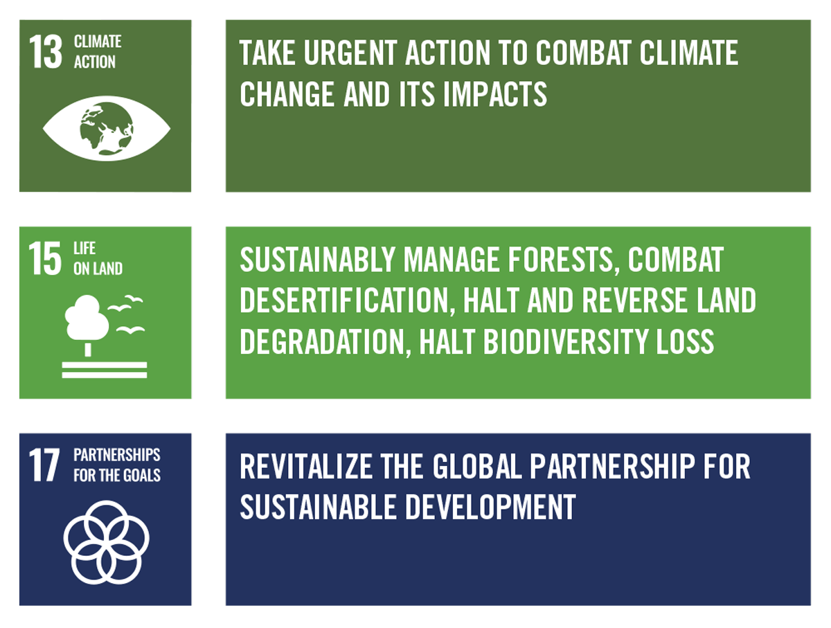 The Culmination of More Than 50 Years of Sustainable Development - Nexira