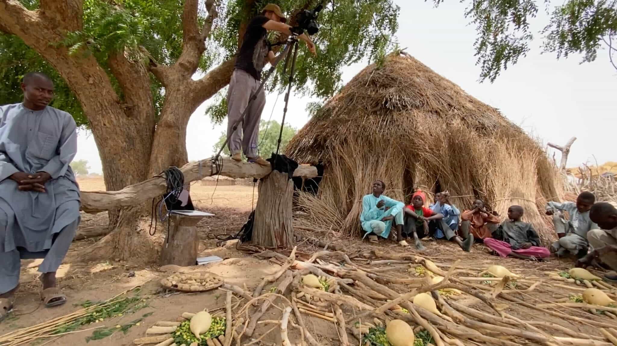The 'Trees of Life' Exhibition