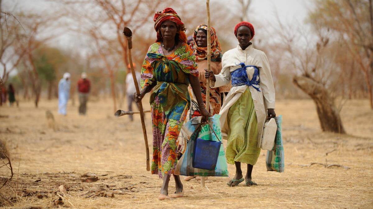 The 'Trees of Life' Exhibition