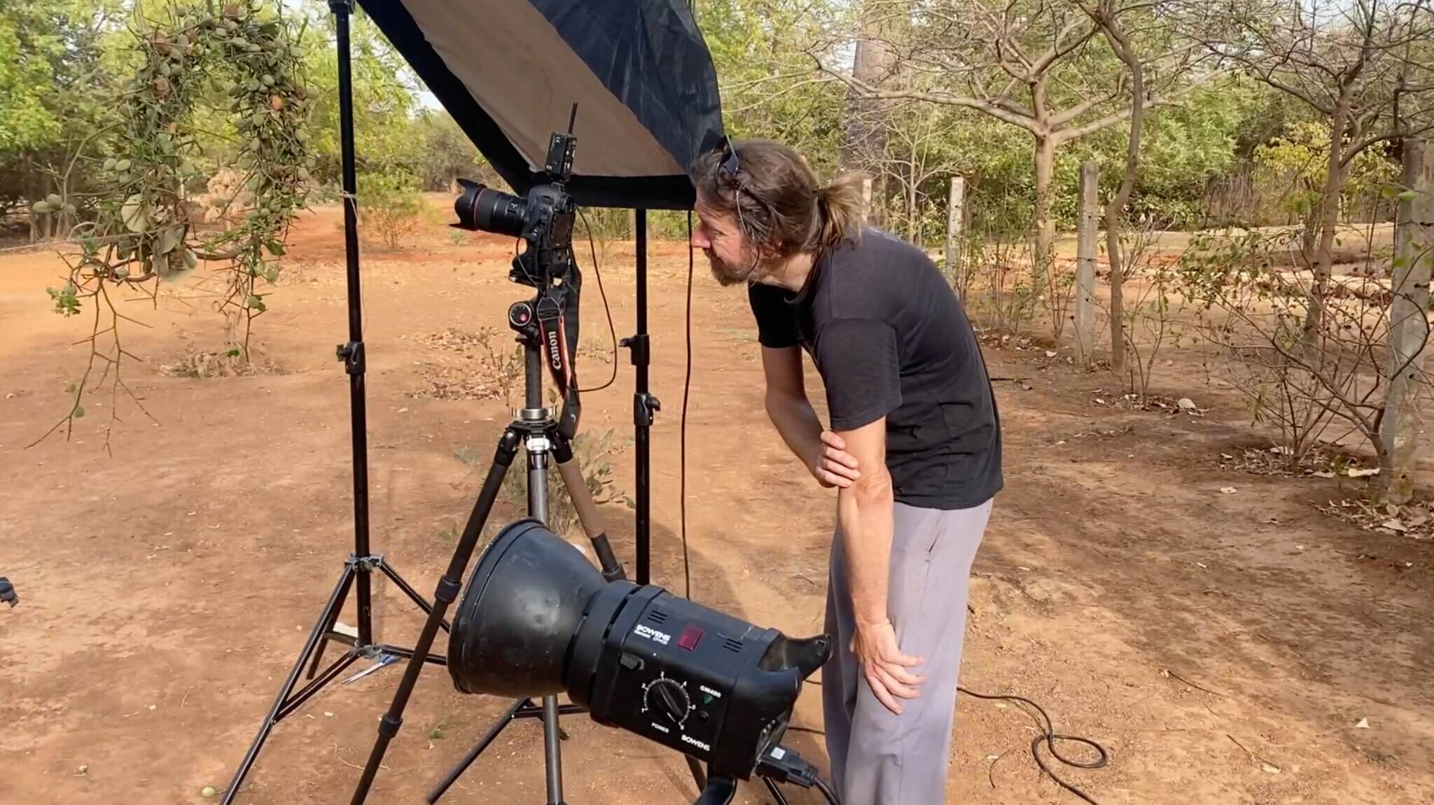 The 'Trees of Life' Exhibition