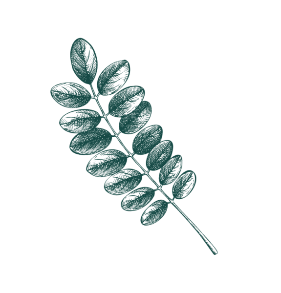 Page d'accueil - Nexira