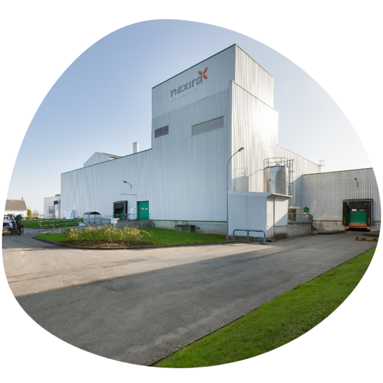 Nexira Leads the Way on the Journey Towards Acacia Sustainability