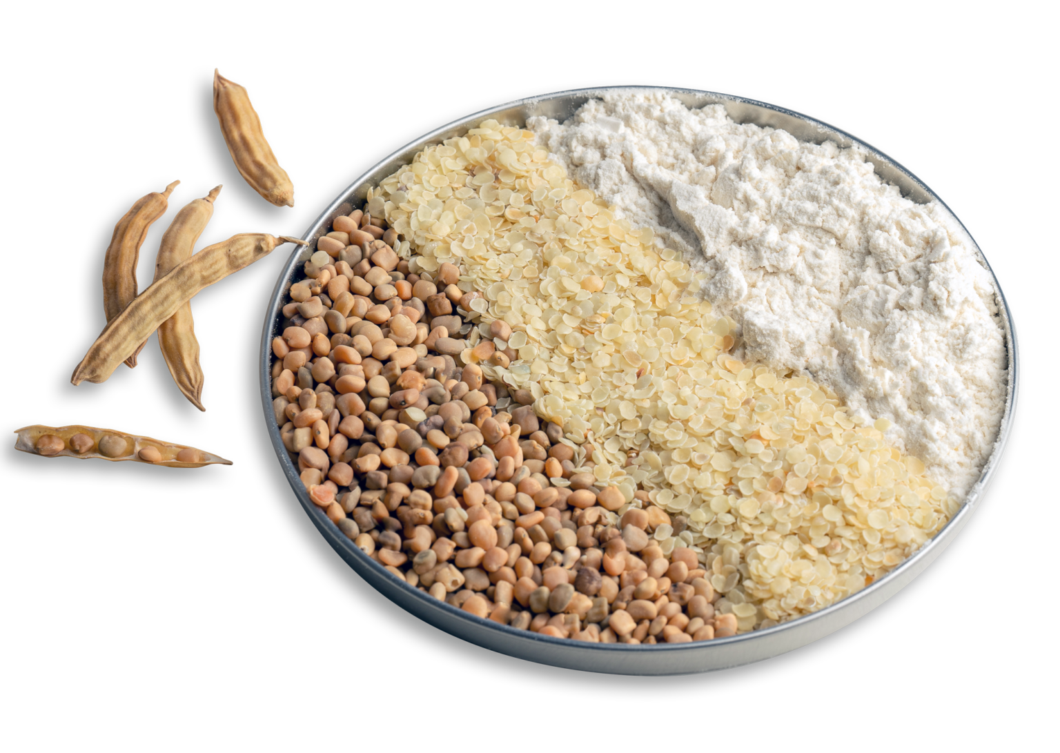 Introduction to guar gum