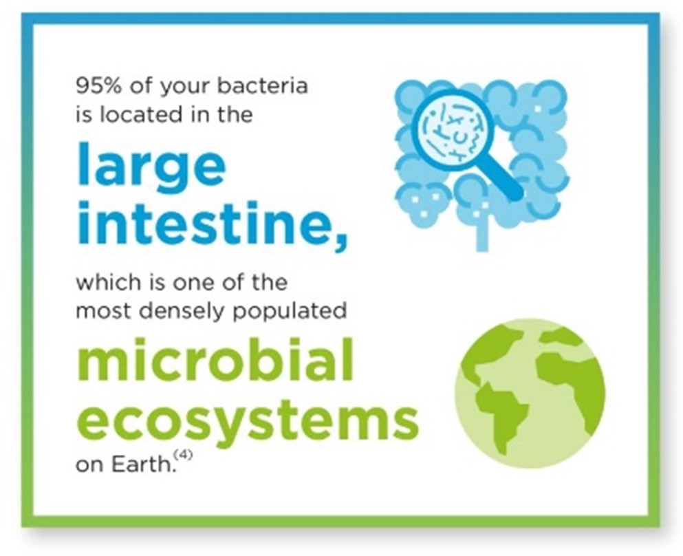 Gut Microbiota: Embracing the Prebiotic Trend - Nexira