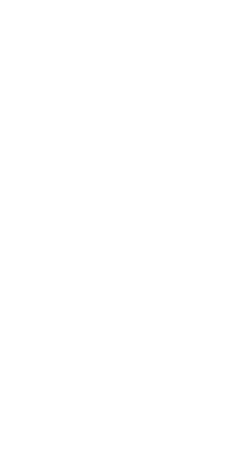 Nutraceuticals & Health - Nexira